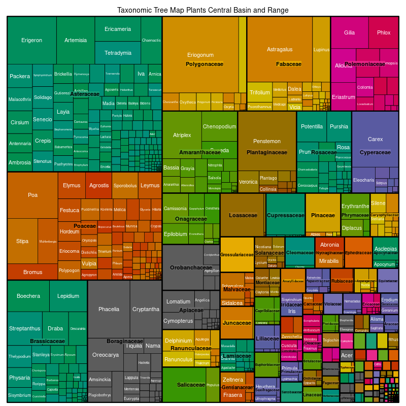 The Central Basin and Range | Pollen Project Mapping