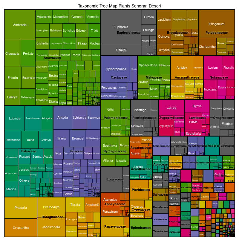 The Sonoran | Pollen Project Mapping