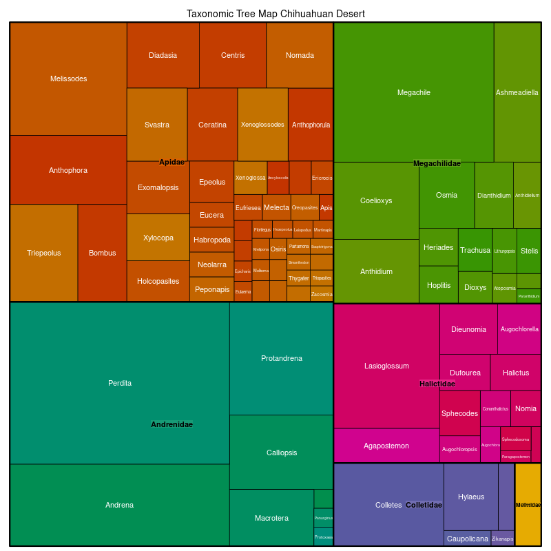 The Chihuahuan Desert | Pollen Project Mapping